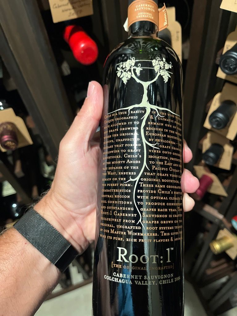 2006 Root:1 Cabernet Sauvignon [The Original Ungrafted] Reserva, Chile ...