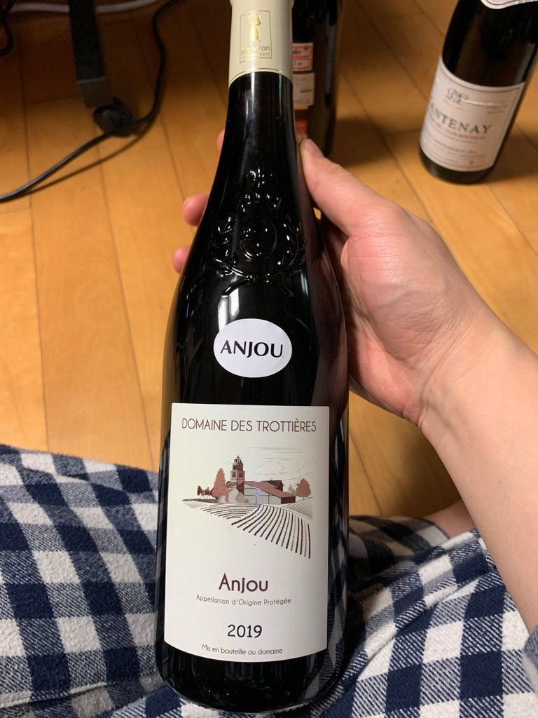 2020 Domaine des Trottières Rosé, France, Loire Valley, Anjou-Saumur ...