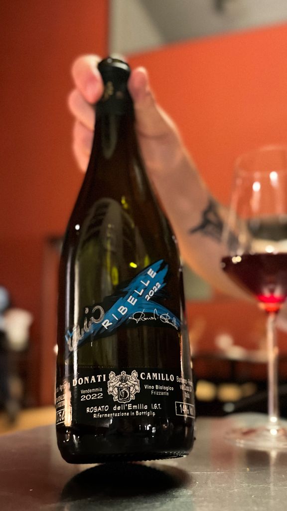 2023 Camillo Donati Il Mio Ribelle Rosato dell'Emilia, Italy, Emilia ...