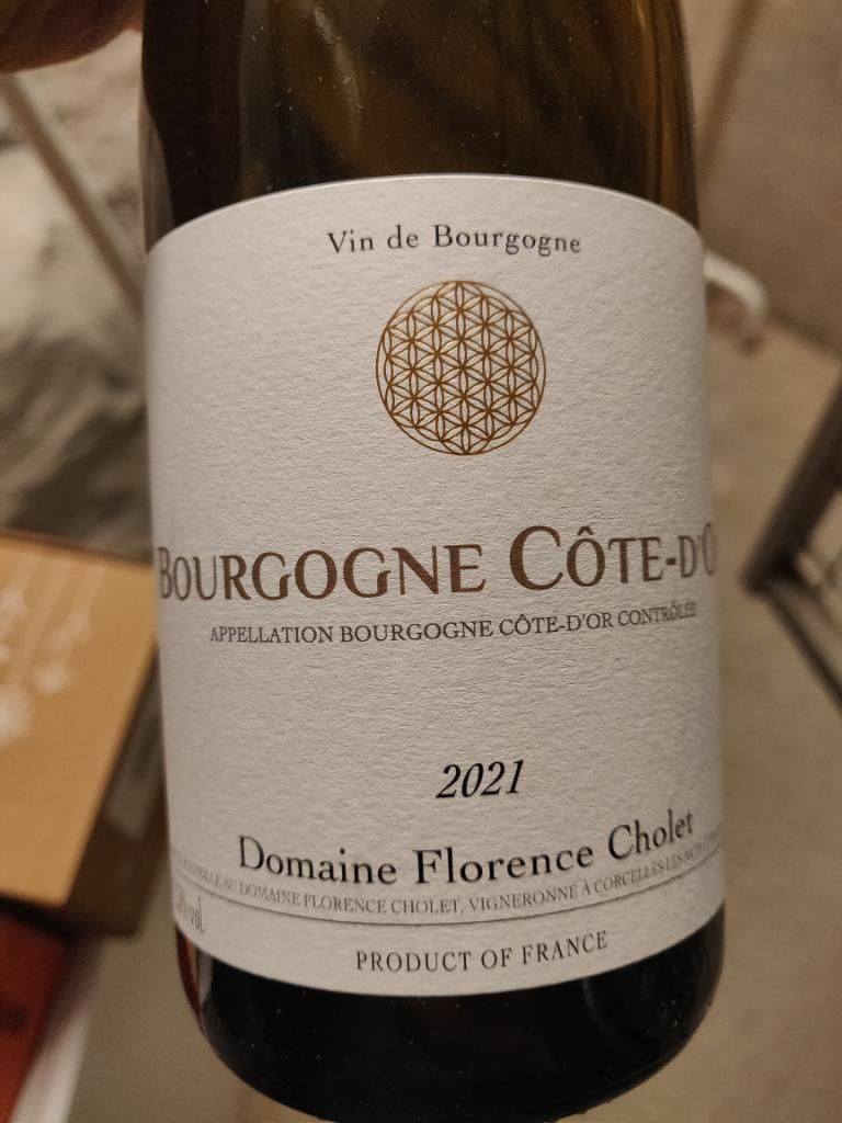 2021 Domaine Florence Cholet Bourgogne Côte d'Or Blanc, France ...