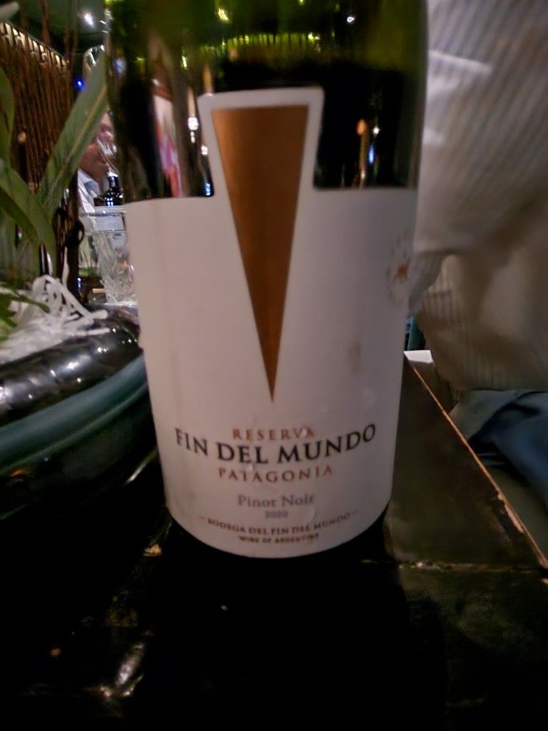 2020 Bodega del Fin del Mundo Pinot Noir Reserva, Argentina, Patagonia ...