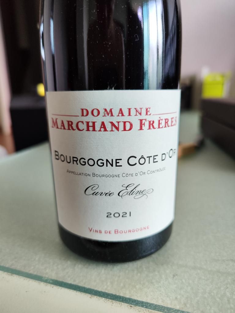 2021 Domaine Marchand Freres Bourgogne Cuvée Eline, France, Burgundy ...