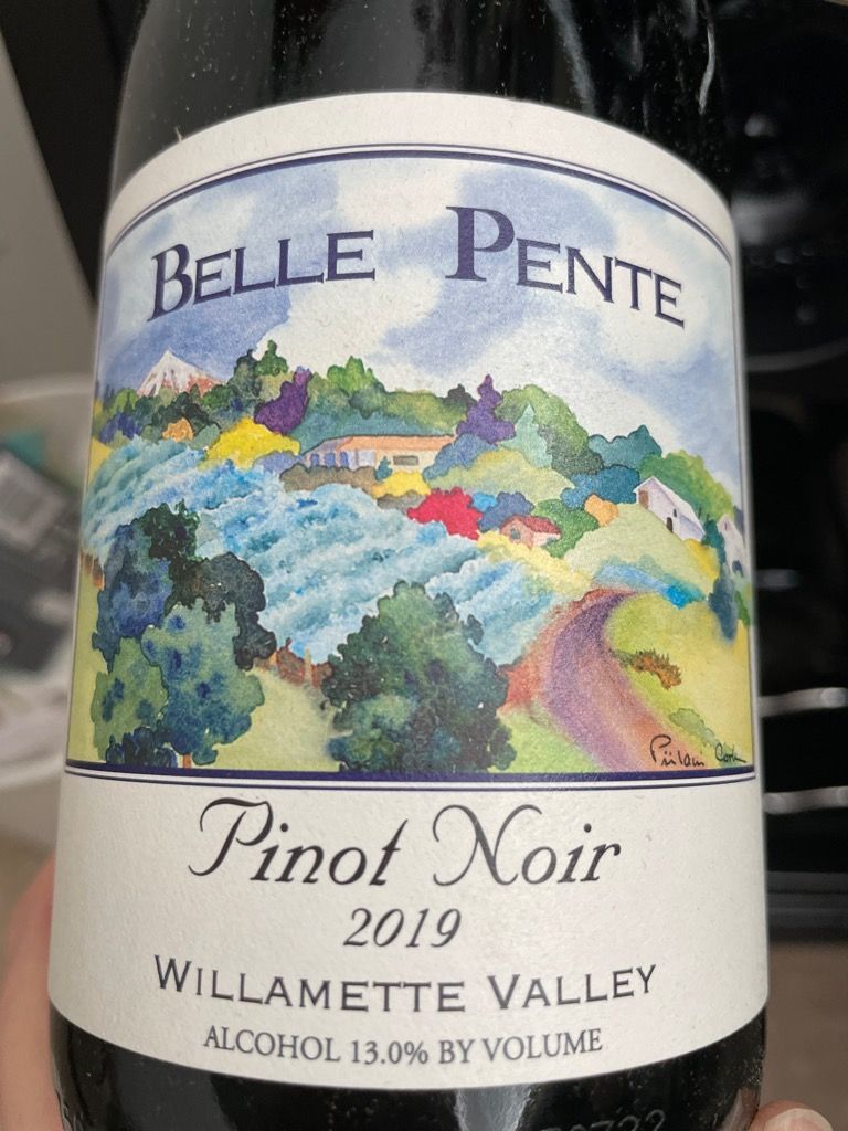 2020 Belle Pente Pinot Noir Willamette Valley, USA, Oregon, Willamette ...