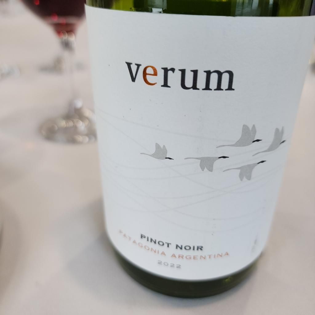 2021 Bodega Del Rio Elorza Pinot Noir Verum, Argentina, Patagonia, Río ...