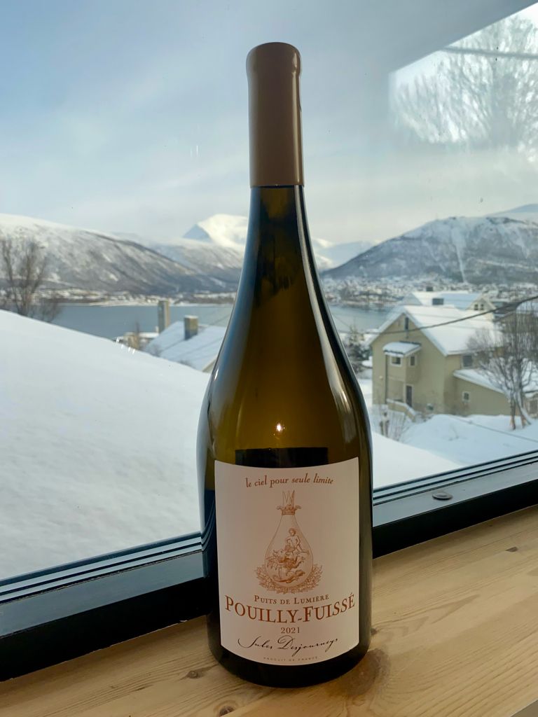 2020 Jules Desjourneys Pouilly-Fuissé Puits de Lumière, France ...