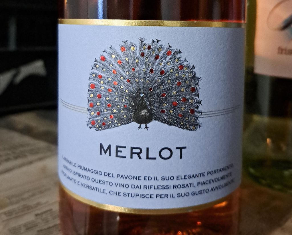 NV Cantina Tollo Merlot Rosé, Italy - CellarTracker