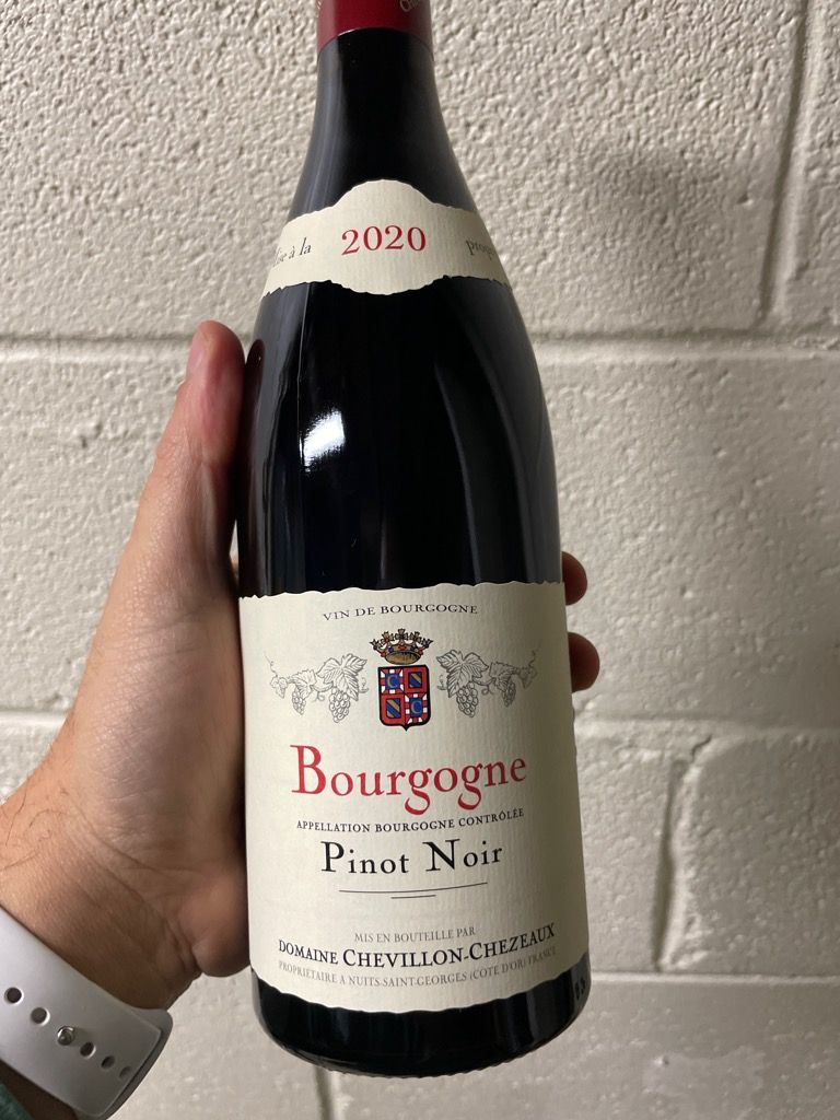 2022 Domaine Chevillon-Chezeaux Bourgogne, France, Burgundy, Bourgogne ...