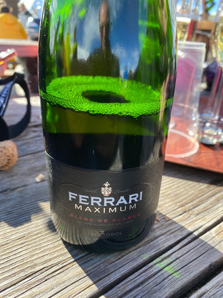 2019 Ferrari Maximum Brut, Italy, Trentino-Alto Adige, Trentino, Trento ...