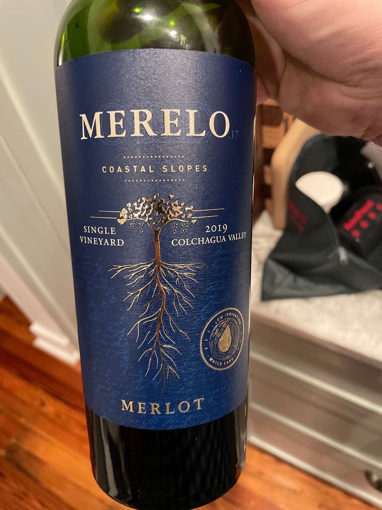 2020 Viña Centenaria Merlot Merelo Single Vineyard, Chile, Rapel Valley ...