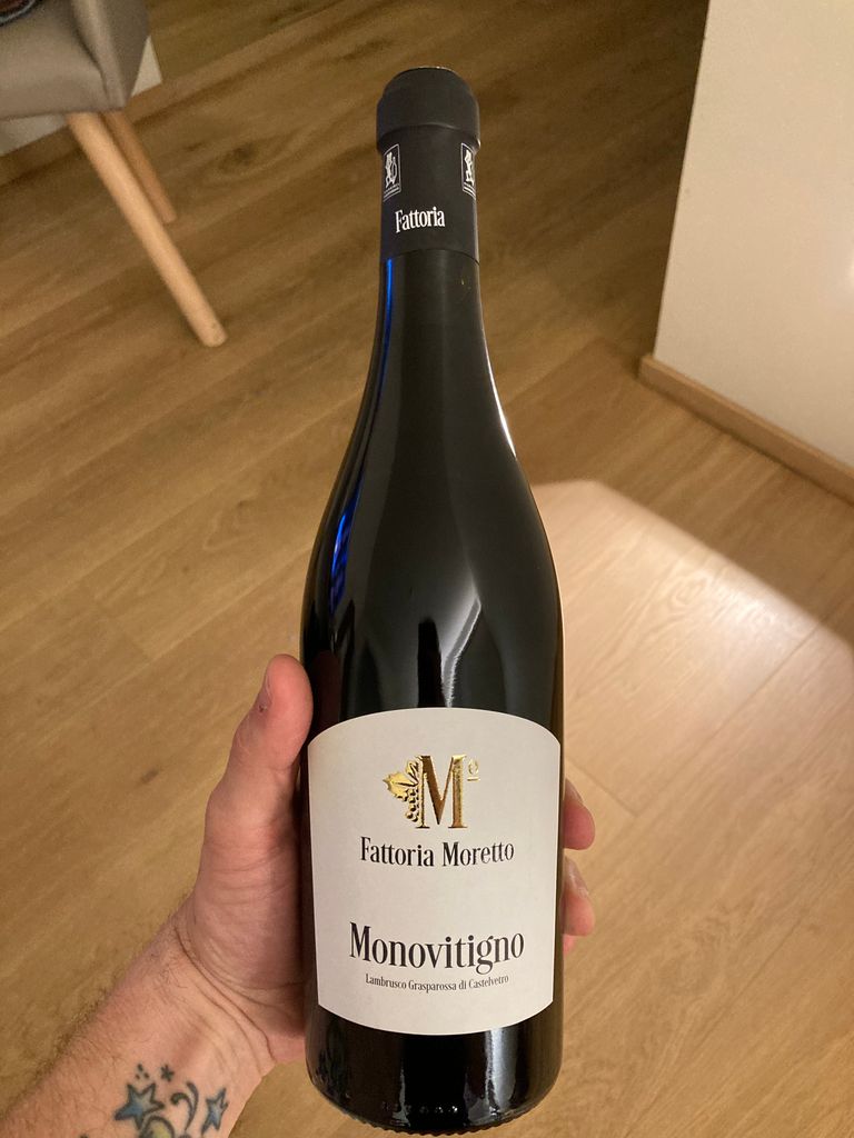 2019 Fattoria Moretto Lambrusco Grasparossa di Castelvetro Monovitigno ...