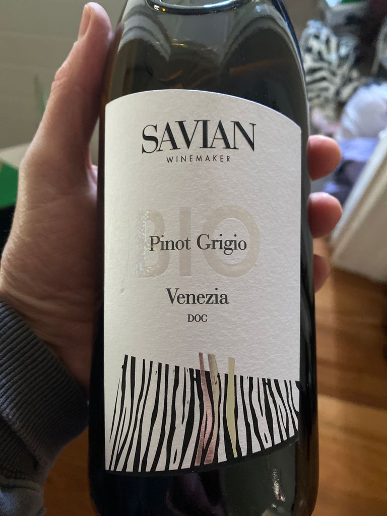2021 Savian Pinot Grigio Nonot, Italy, Veneto, Veneto IGT - CellarTracker