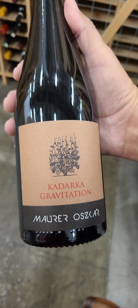 2020 Oszkár Maurer Kadarka Gravitation, Serbia, Subotica-Horgoške ...