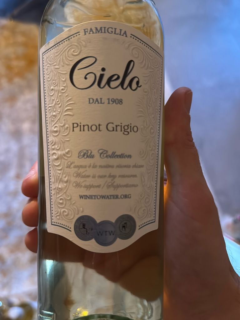 2023 Famiglia Cielo Pinot Grigio Delle Venezie dal 1908, Italy, Delle ...