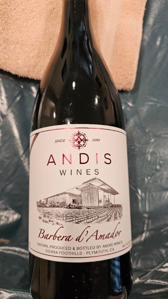 2023 Andis Wines Barbera d'Amador, USA, California, Sierra Foothills ...