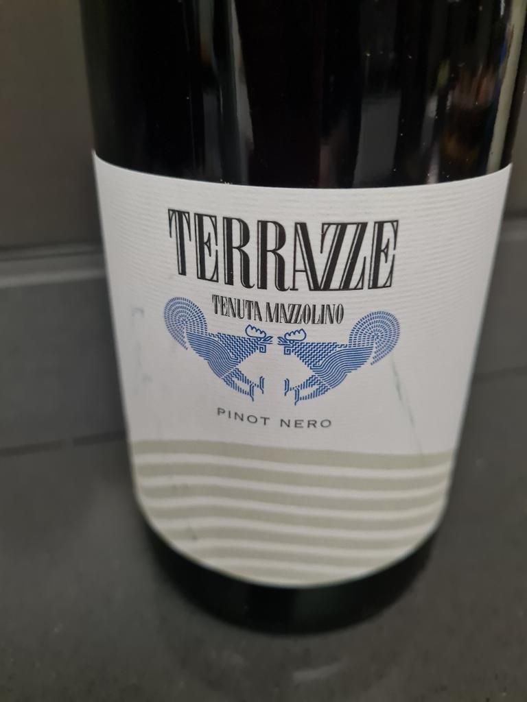 2021 Tenuta Mazzolino Pinot Nero Oltrepò Pavese Terrazze, Italy ...