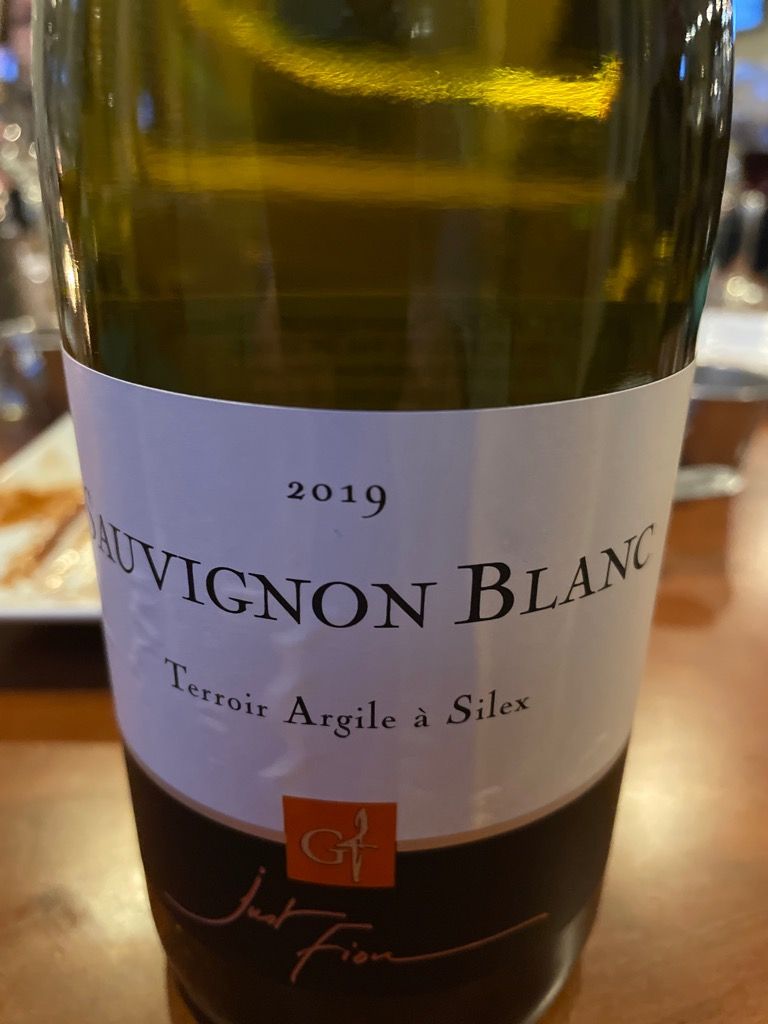 2020 Domaine Gerard Fiou Sauvignon Blanc Just Fiou, France, Loire ...