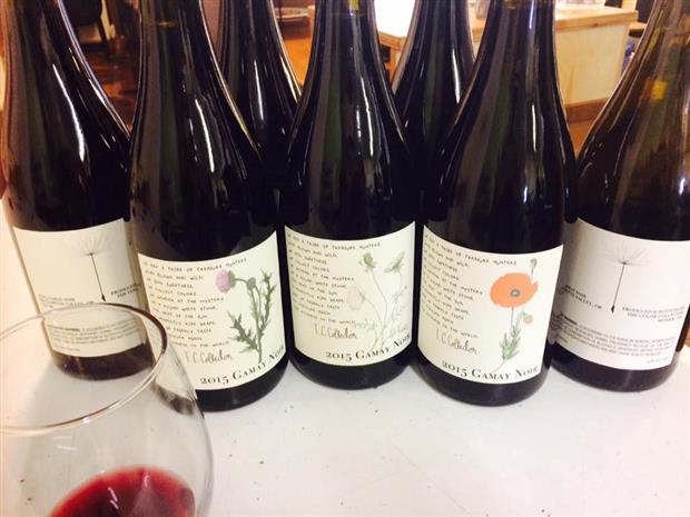2015 The Color Collector Gamay Noir, USA, Oregon, Willamette Valley ...