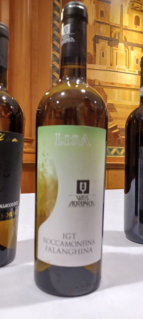 2021 Vitis Aurunca Falanghina del Sannio Lisa, Italy, Campania ...