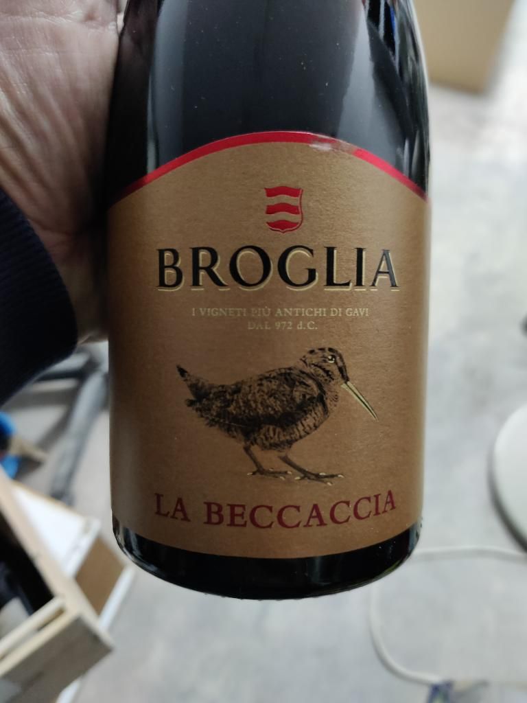 2020 Broglia Langhe Nebbiolo La Beccaccia, Italy, Piedmont, Langhe ...