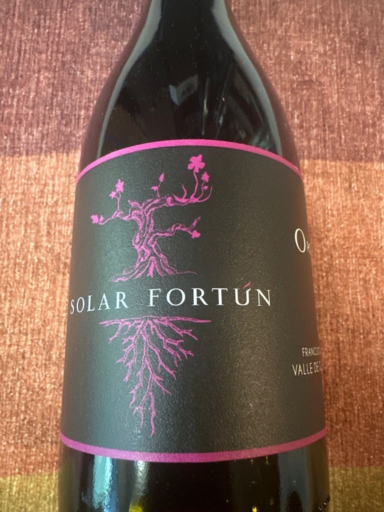 2017 Solar Fortun o positivo, Mexico, Baja California, Valle de ...