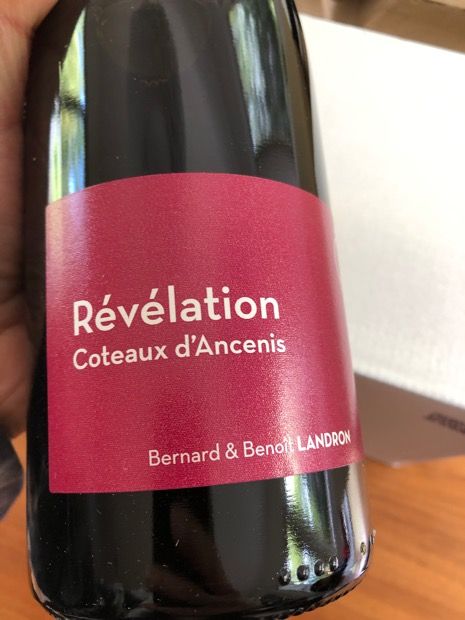 2010 Domaine Landron Chartier Coteaux du Loir Revelation, France, Loire ...