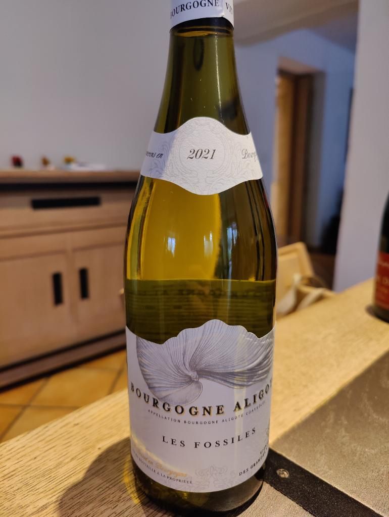 2022 Les Vignerons des Grandes Vignes Bourgogne-Aligoté Les Fossiles ...