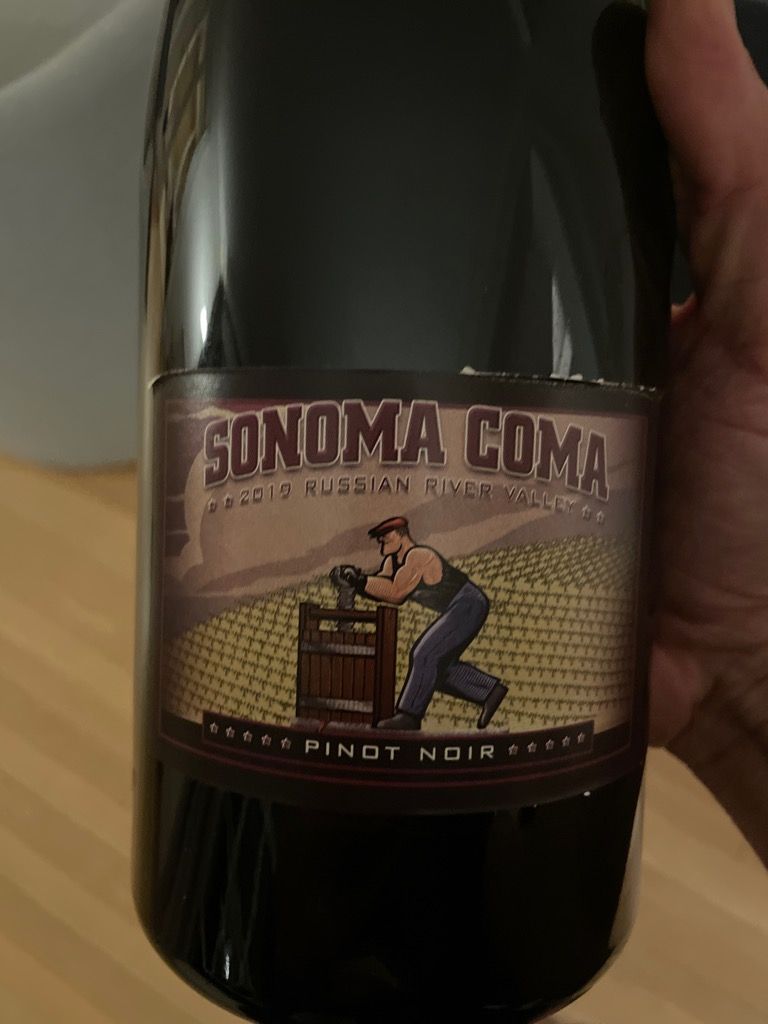 2019 George Wine Company Pinot Noir Sonoma Coma, USA, California ...