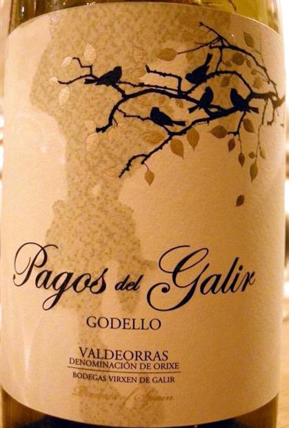 2013 Virgen del Galir Godello Valdeorras Pagos del Galir, Spain ...