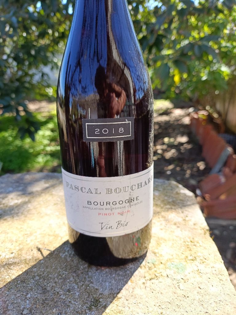 2018 Pascal Bouchard Bourgogne Pinot Noir, France, Burgundy, Bourgogne ...