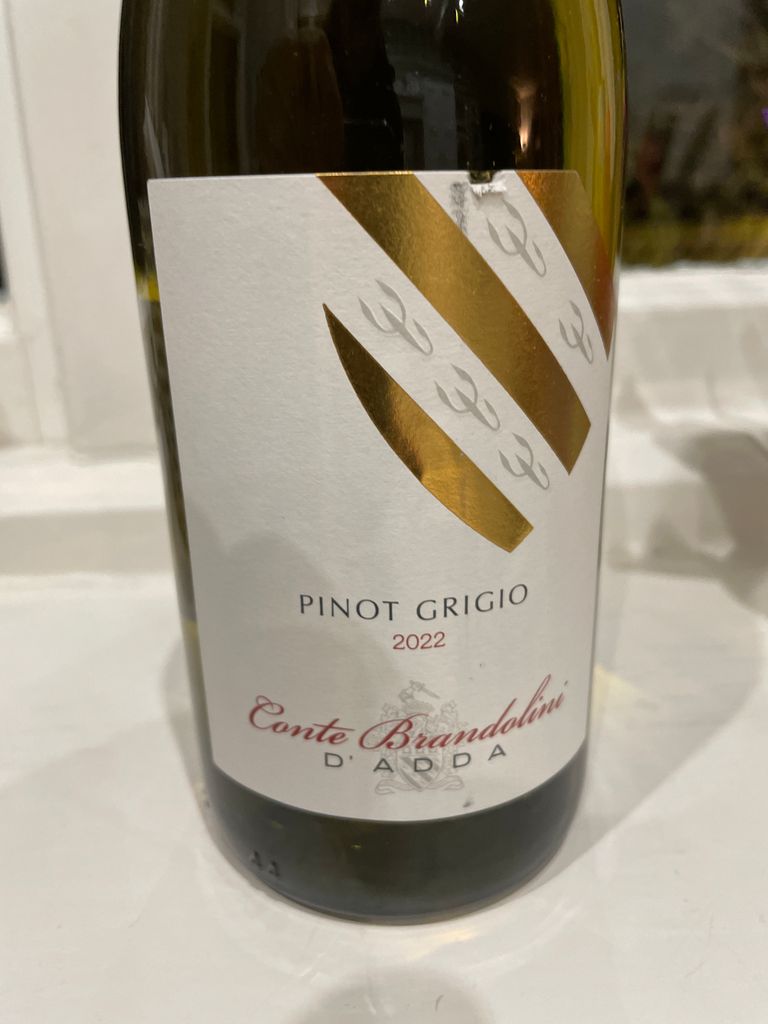 2020 Conte Brandolini d'Adda Pinot Grigio, Italy, Friuli-Venezia Giulia ...