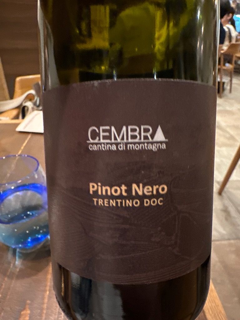 2022 Cembra Pinot Nero Trentino, Italy, Trentino-Alto Adige, Trentino ...