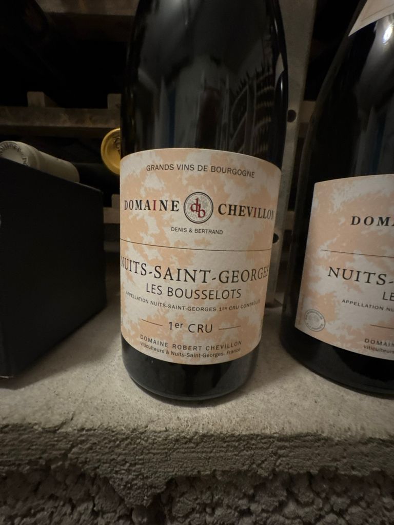 2023 Domaine Robert Chevillon Nuits-Saint-Georges 1er Cru Les ...