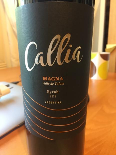 2019 Bodegas Callia Malbec Magna, Argentina, San Juan, Tulum Valley ...