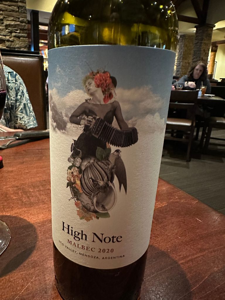 2020 Vista del Sur Malbec High Note, Argentina, Mendoza, Valle de Uco ...