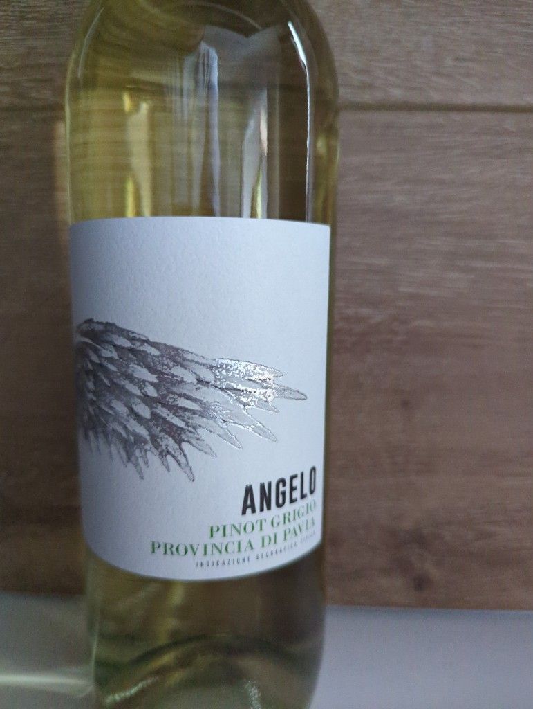 2023 Angelo Pinot Grigio Provincia di Pavia IGT, Italy, Lombardia ...