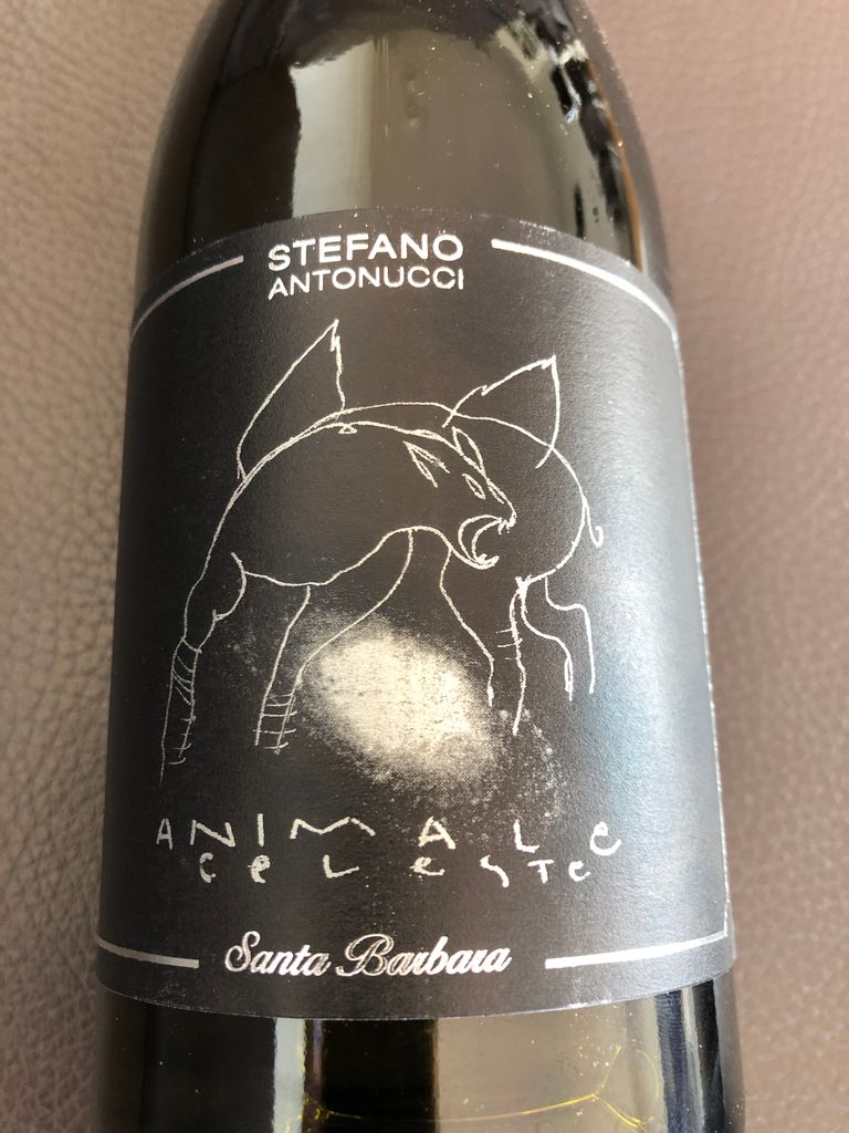 2021 Azienda Santa Barbara Animale Celeste Marche IGT, Italy, Marche ...