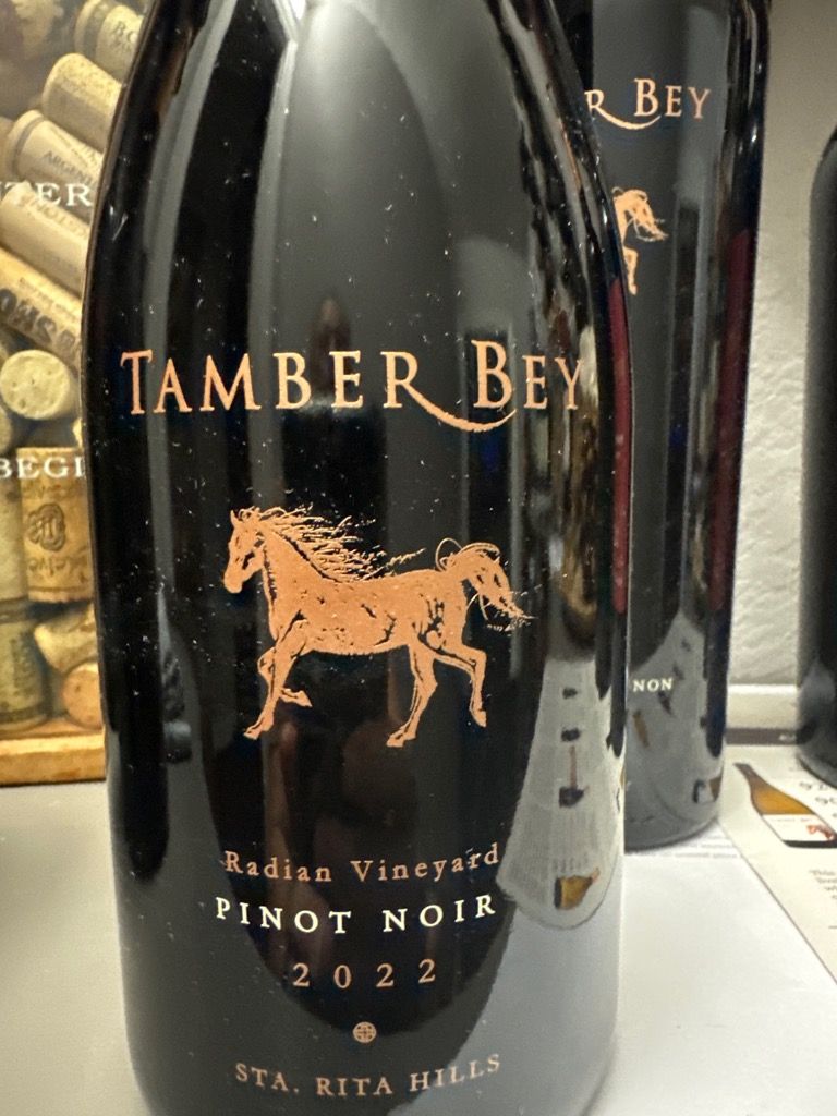 2022 Tamber Bey Pinot Noir Radian Vineyard, USA, California, Central ...