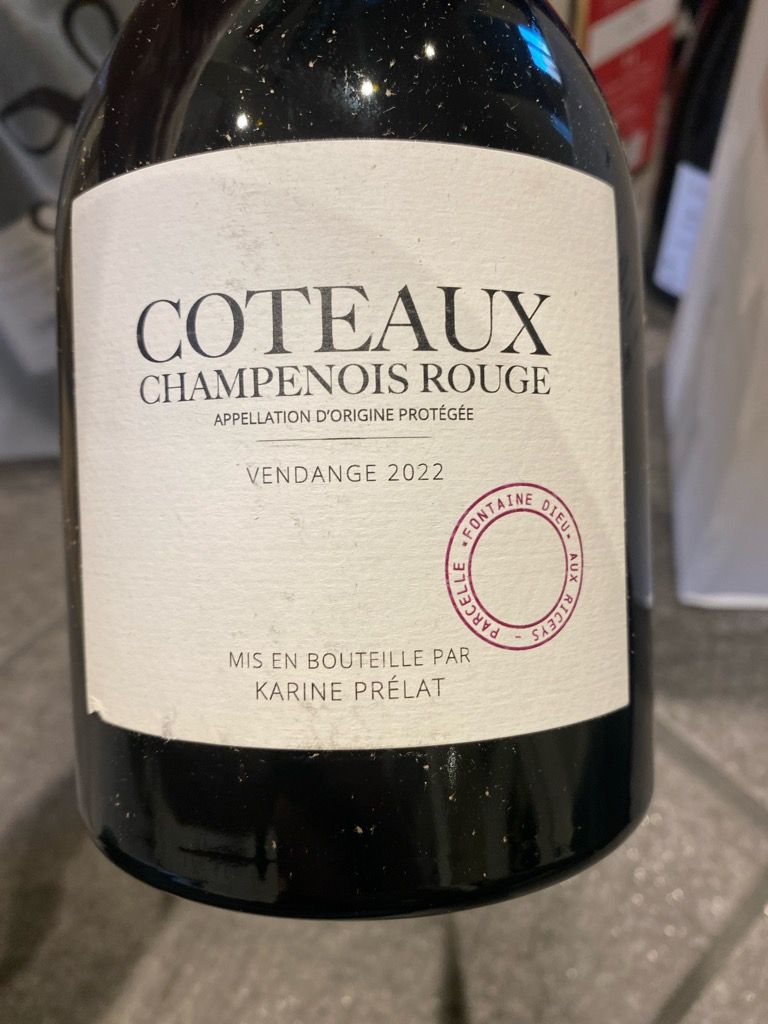 2022 Julien Prélat Pinot Noir Coteaux Champenois, France, Champagne ...