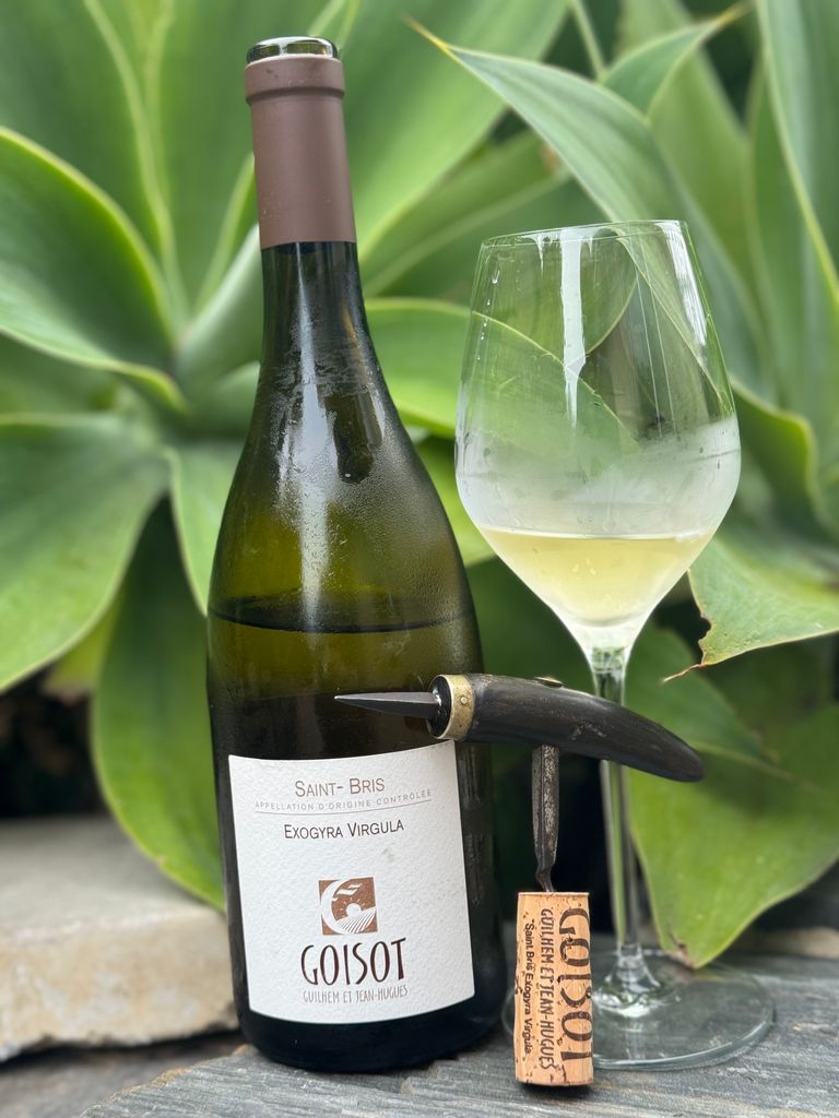 2021 Guilhem et Jean-Hugues Goisot Saint-Bris Exogyra Virgula, France ...