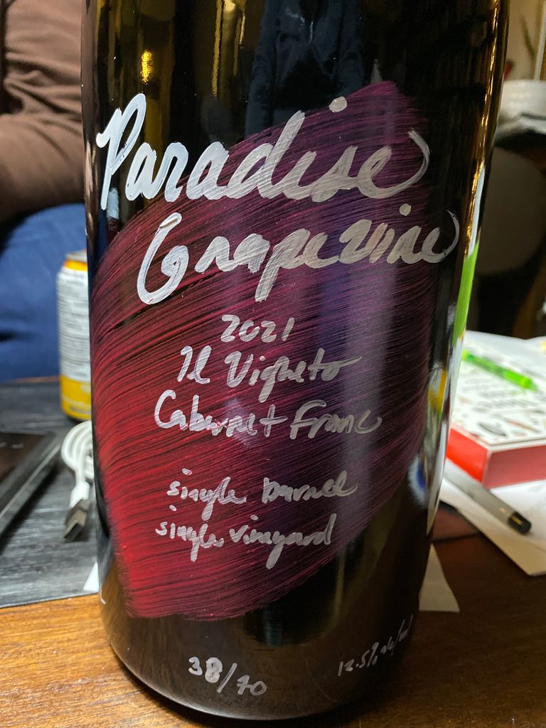 2021 Paradise Grapevine Cabernet Franc Il Vigneto, Canada, Ontario ...
