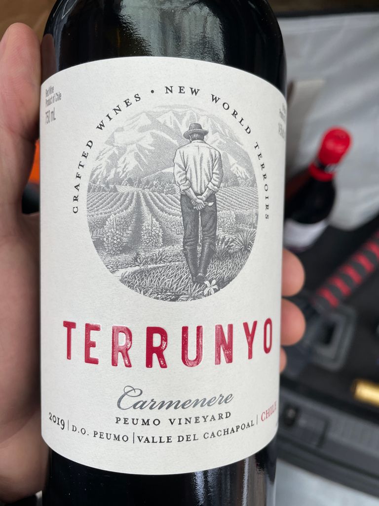 2019 Concha y Toro Carménère Terrunyo, Chile, Rapel Valley, Cachapoal ...
