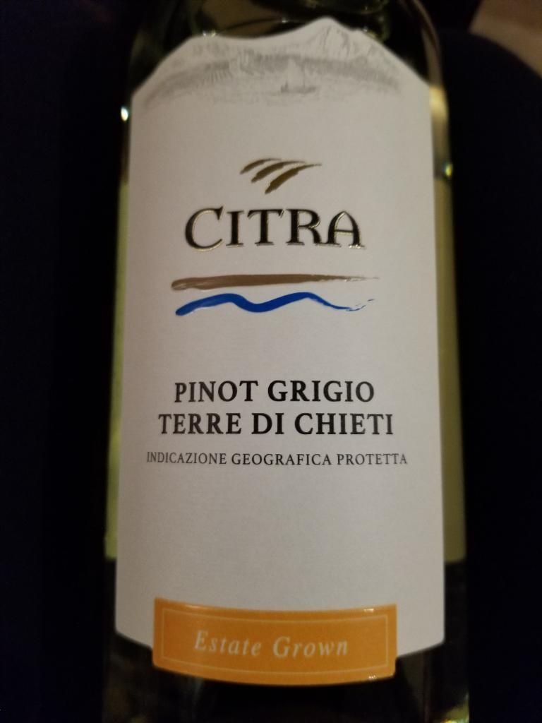 2013 Citra Pinot Grigio Terre di Chieti IGT, Italy, Abruzzi, Terre di ...