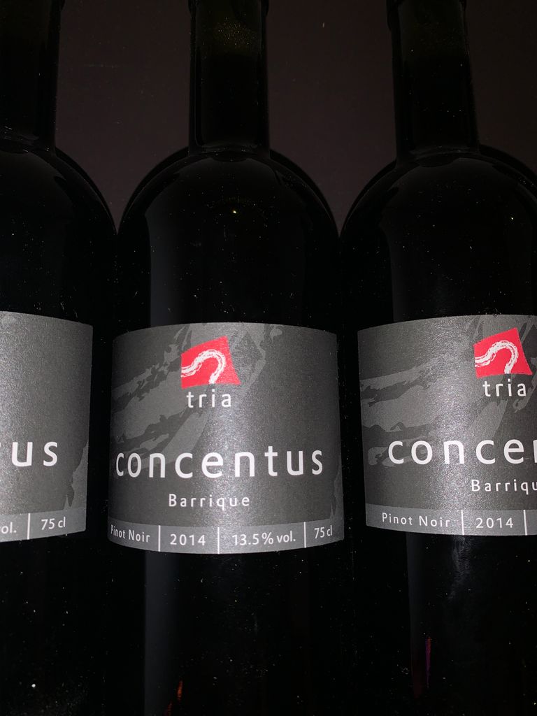 2020 Tria Pinot Noir Concentus, Barrique, Switzerland, Eastern ...