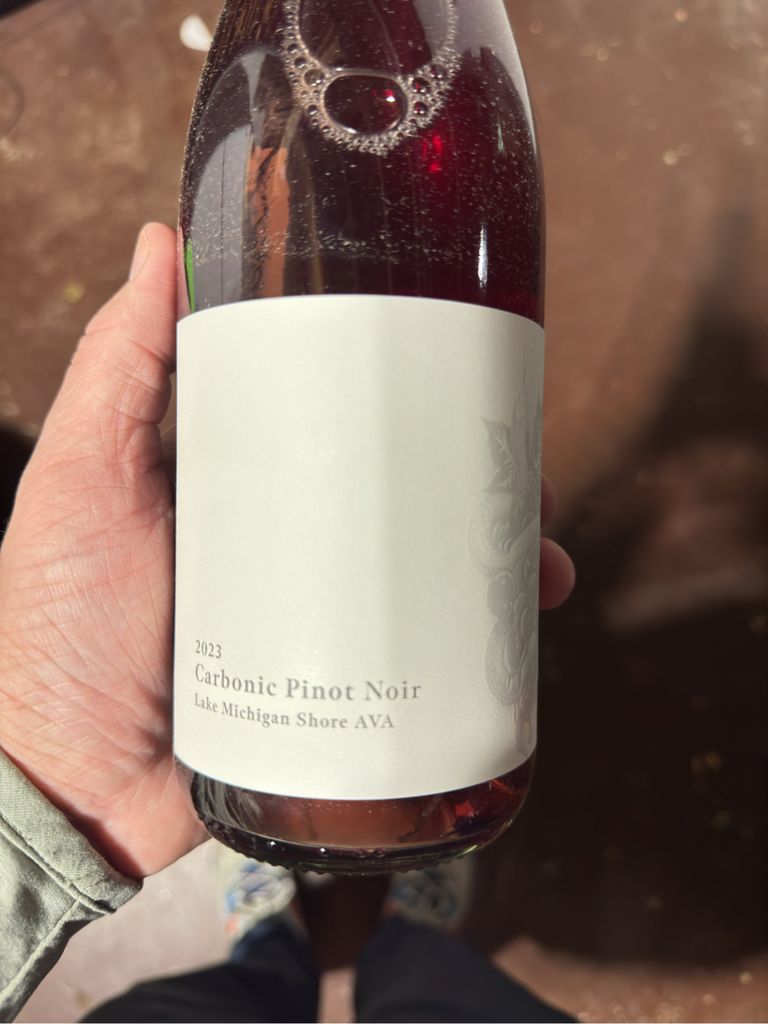 2022 Stranger Wine Company Pinot Noir Carbonic Avonlea Vineyard, USA ...