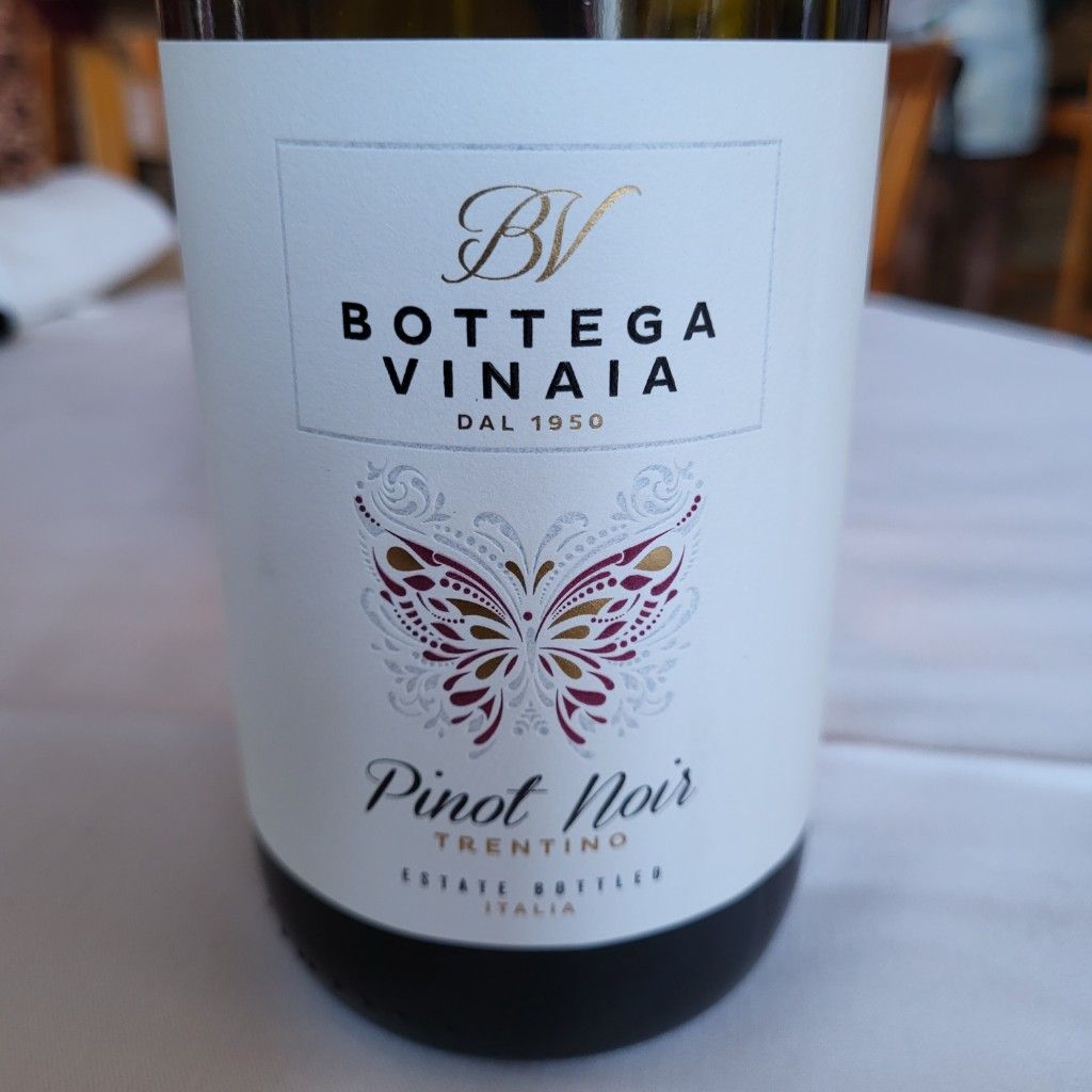 2022 Bottega Vinai Pinot Noir, Italy, Trentino-Alto Adige, Trentino ...