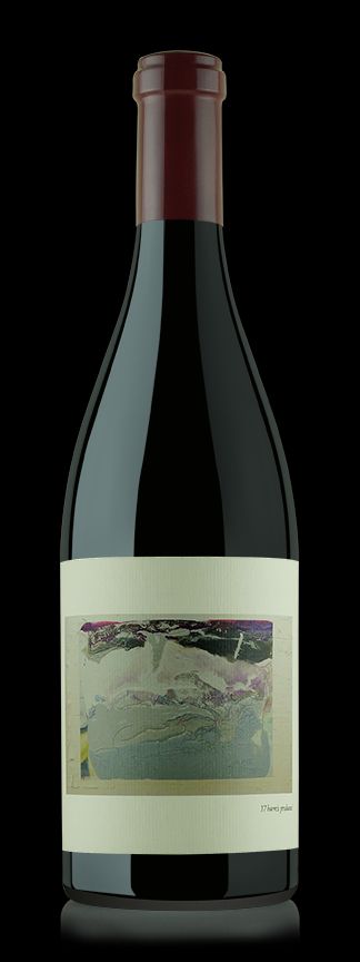 2020 Chanin Pinot Noir Zotovich Vineyard, USA, California, Central ...