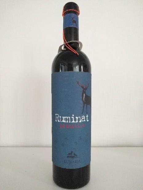 2015 Cantina Orsogna Ruminat, Italy, Puglia, Primitivo di Manduria ...