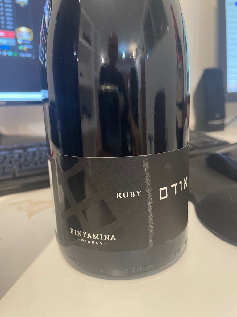 2018 Binyamina Syrah Ruby (Odem) Yosef, Israel, Galilee, Upper Galilee ...