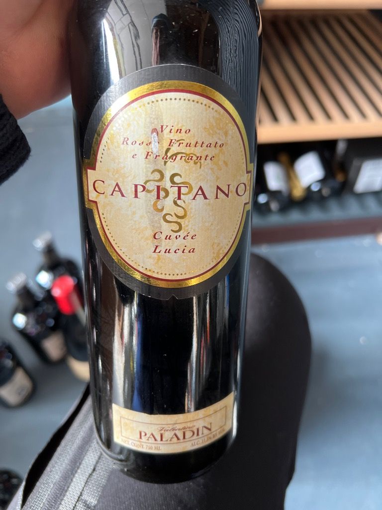 2003 Valentino Paladin Delle Venezie Salbanello, Italy, Delle Venezie ...