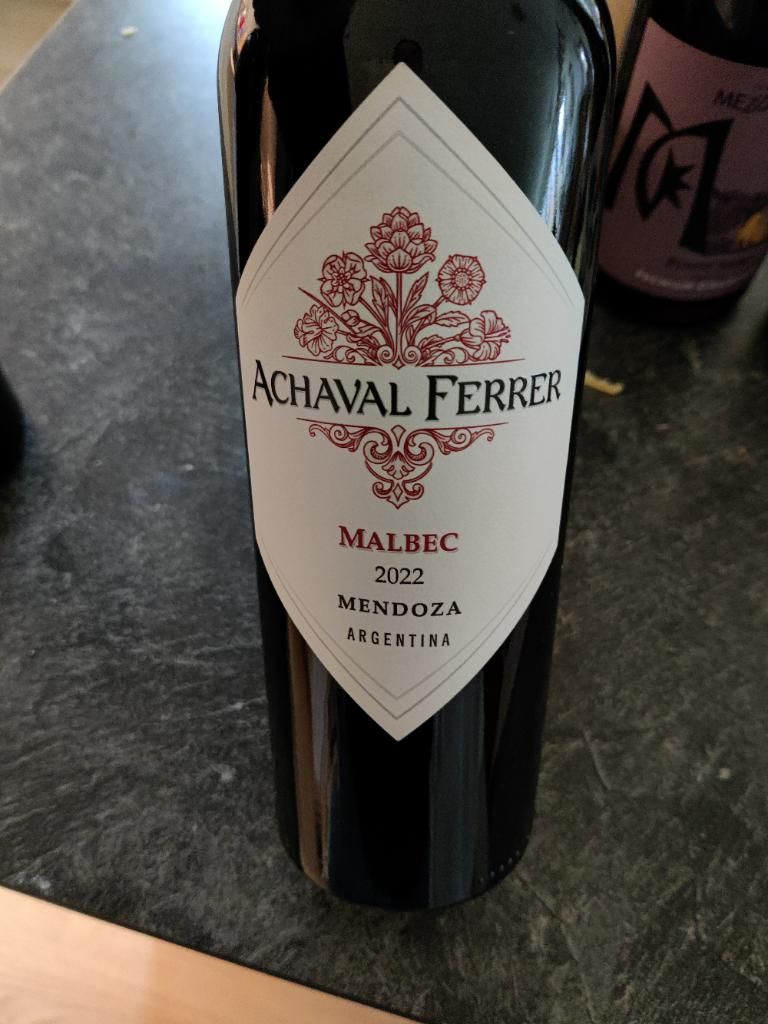 2022 Achával-Ferrer Malbec Mendoza, Argentina, Mendoza - CellarTracker